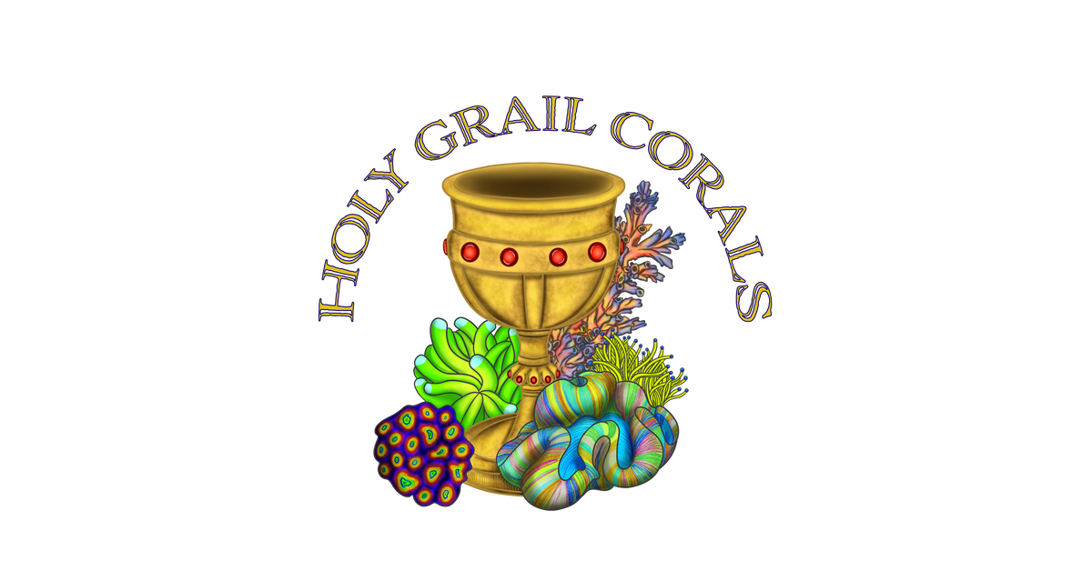 Holy Grail Corals – HolyGrailCorals